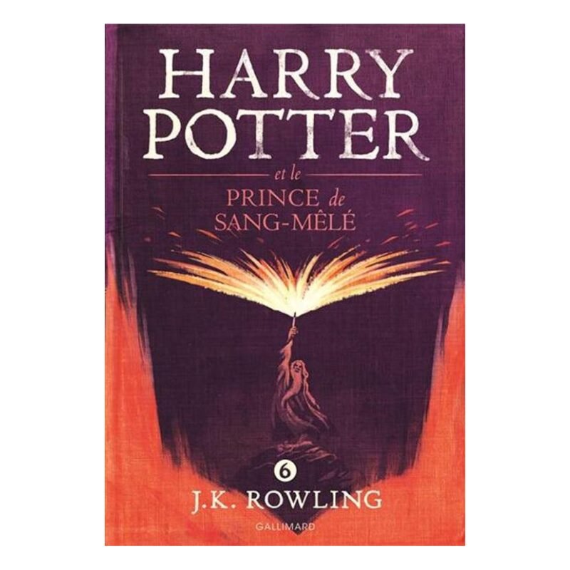 Harry Potter et Le Prince de Sang-Mêlé (Tome 6) - Le Refuge du Sorcier